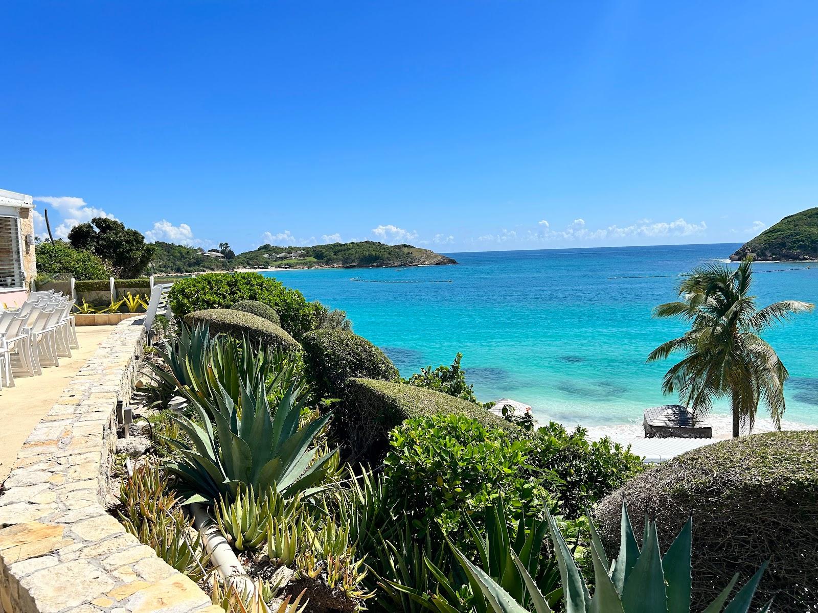 Mill Reef Club - ALL You Need To Know