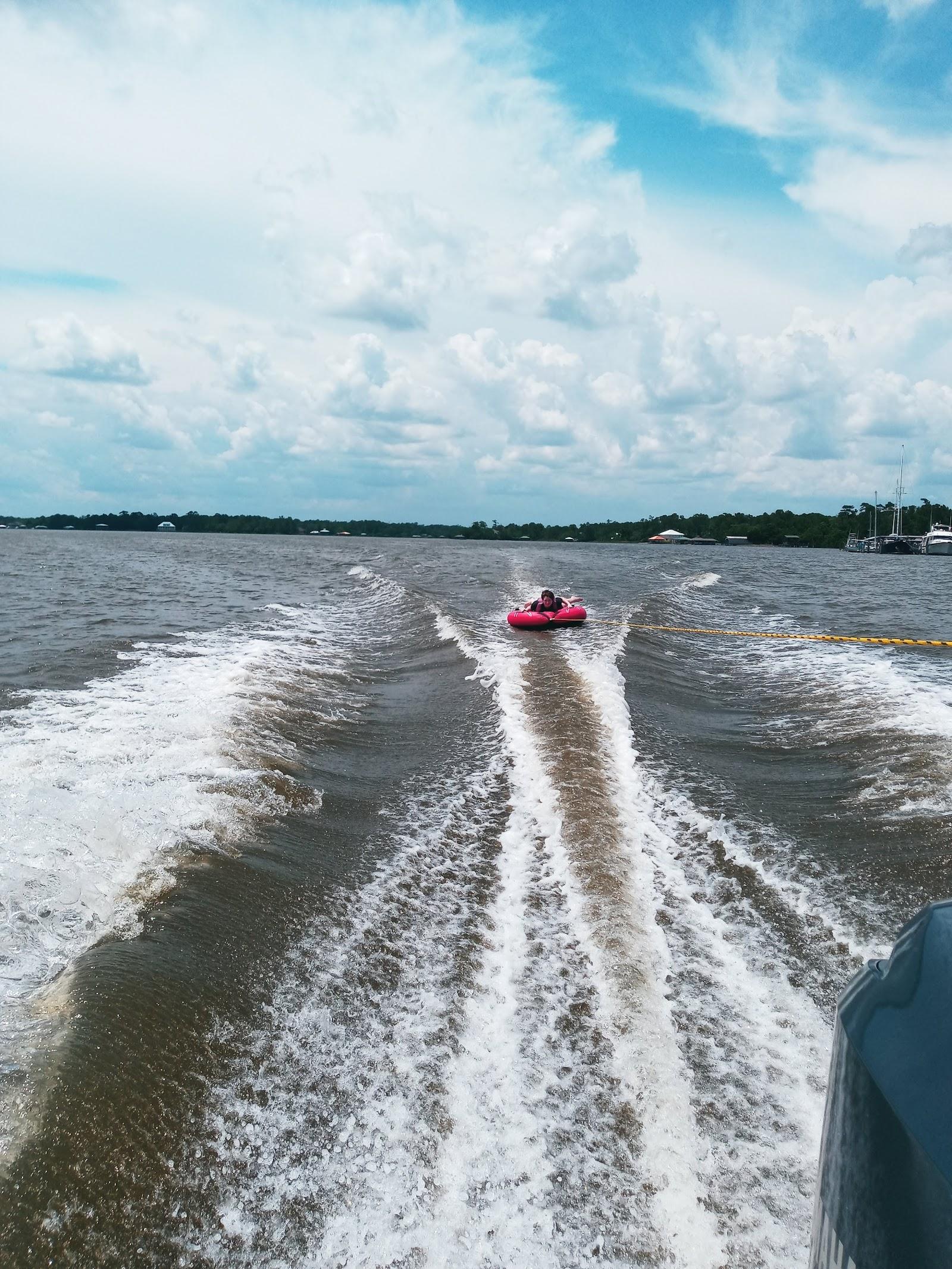 Dog River Alba Club, United States - ALL You Need To Know