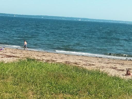 Compass Rose Beach | Dog Friendly Beach Rhode Island